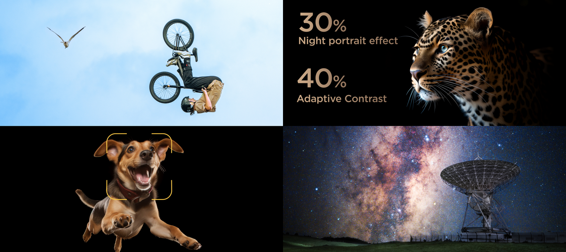 nubia Store (EU) | Mobile Photography Expert - Nubia Store (EU)